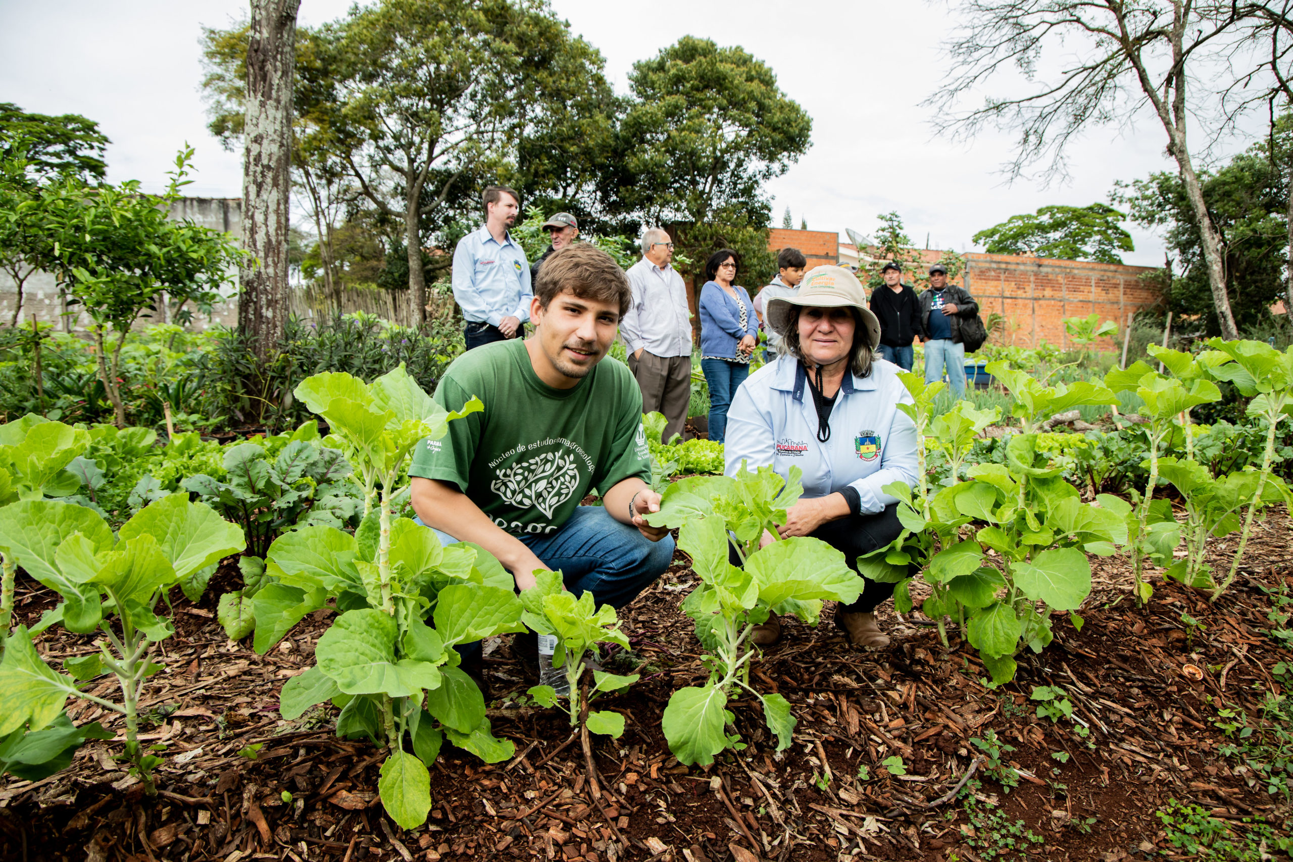 Layout De Horta Organica